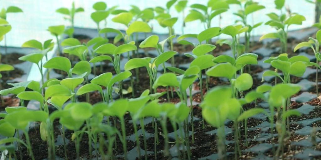 Home - Auxwit Technologies